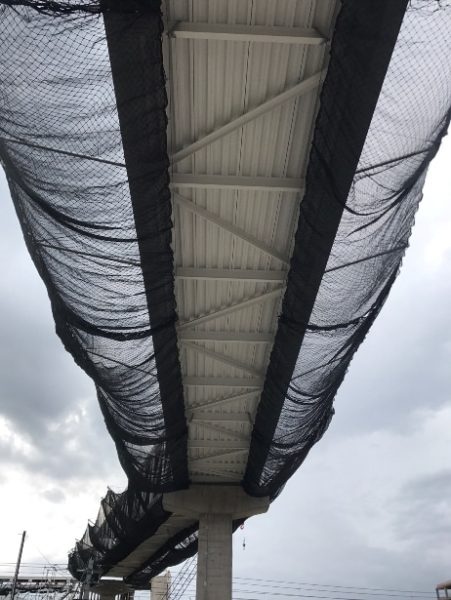 Construction Safety Debris Netting - Spider