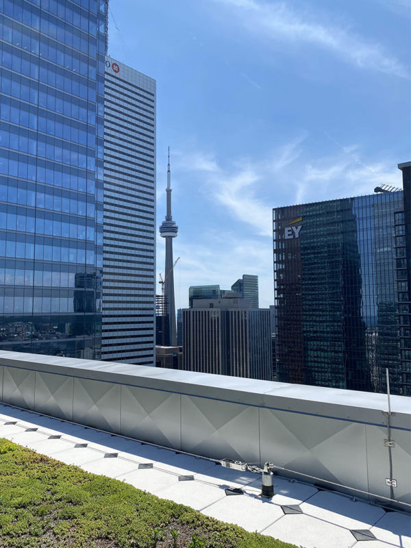 Horizontal Lifeline (HLL) - Spider Staging